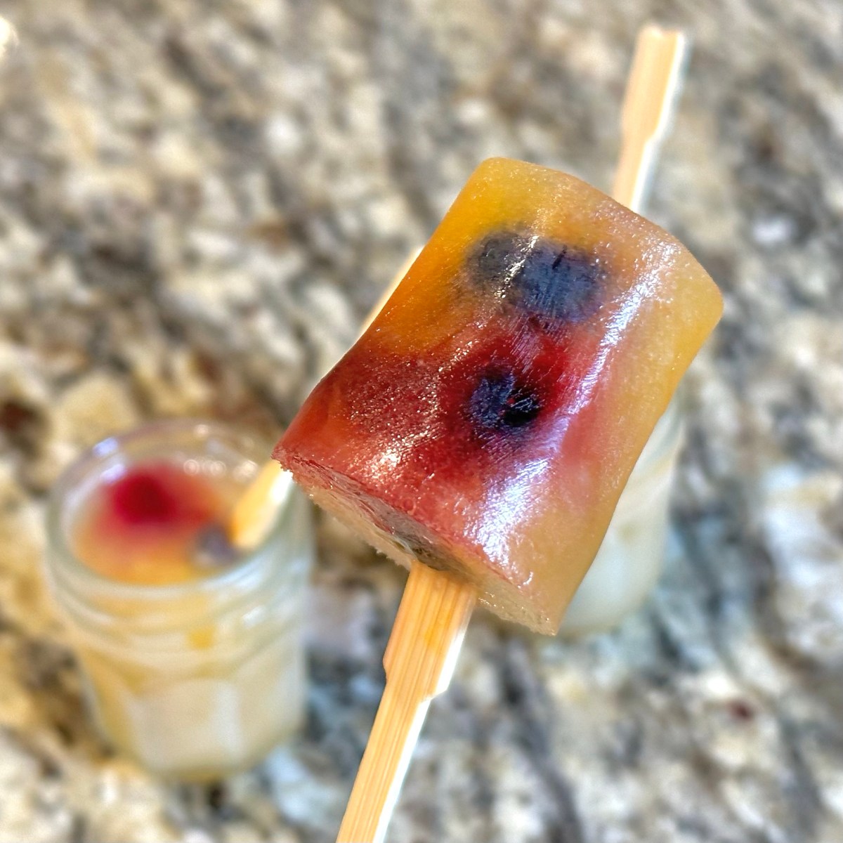 National Blueberry Popsicle Day – Enriching the Community * Harvesting ...